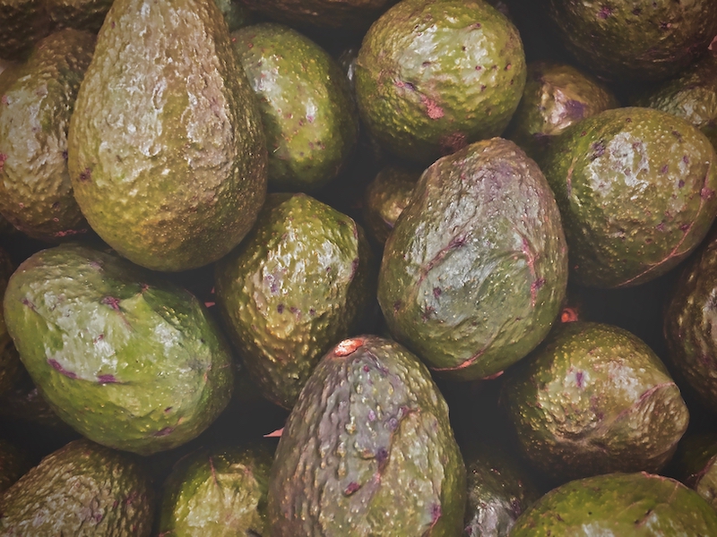 7 rodzajów awokado | Ameryka po polsku