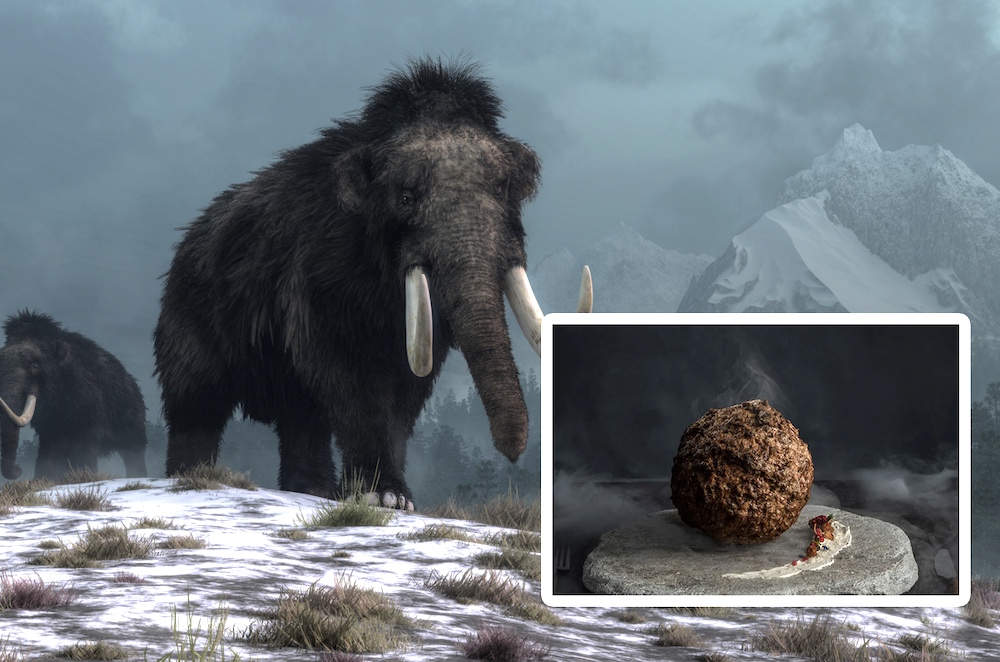 Wyprodukowano pierwszego w historii kotleta z mamuta włochatego