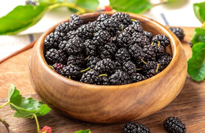 Czarna morwa - właściwości i zastosowanie